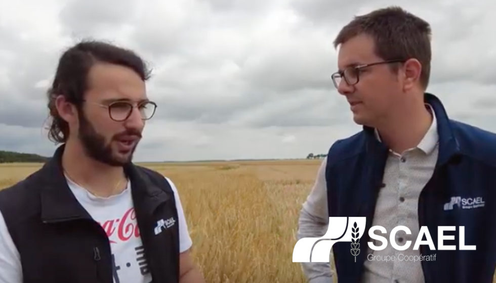 A tout bout de champ #5 Les essais - Groupe SCAEL