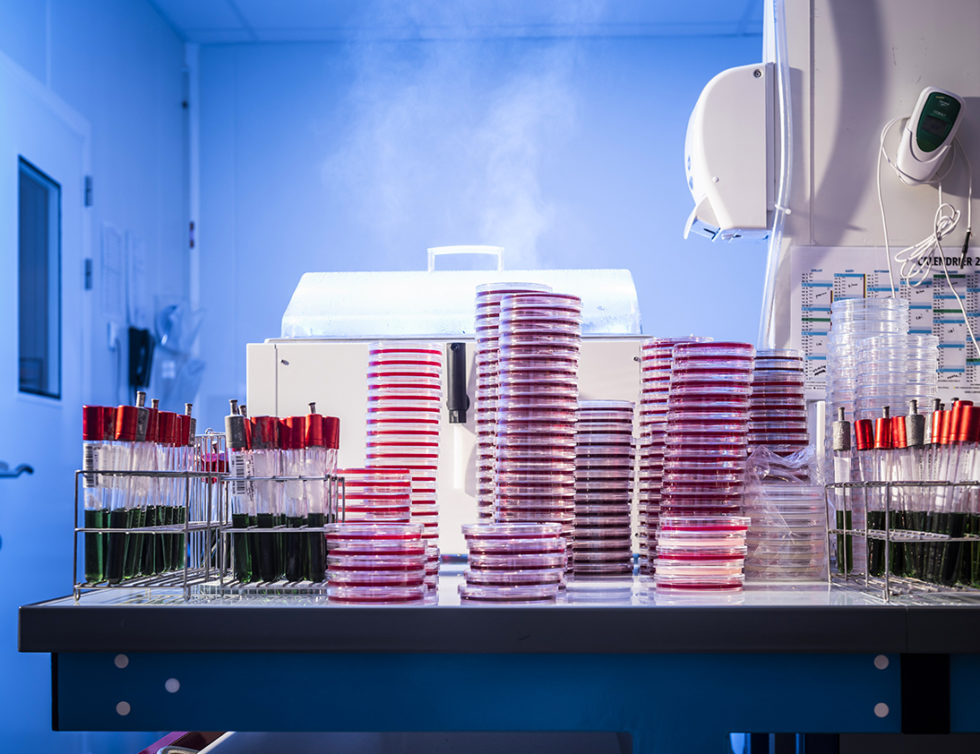 Le Laboratoire Microsept s'agrandit - Groupe SCAEL