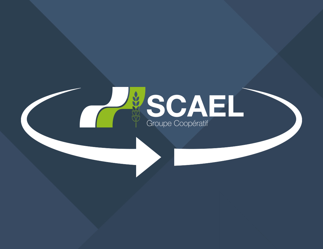 Groupe SCAEL